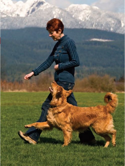 Janice Gunn Workshops