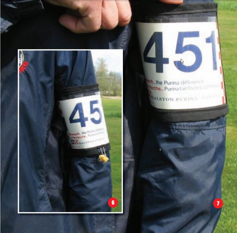 Heeling 101 by Janice Gunn