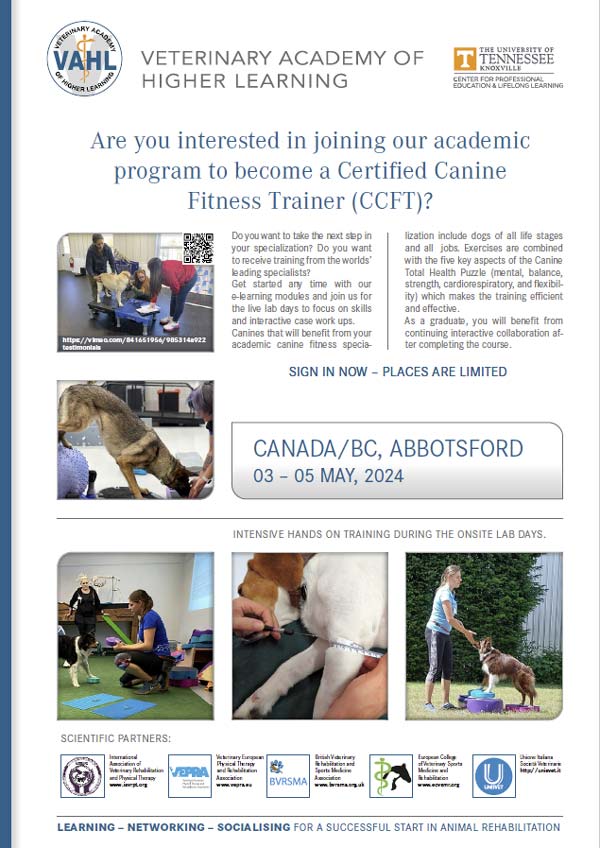 CCFT-2024 - TNT Training Center