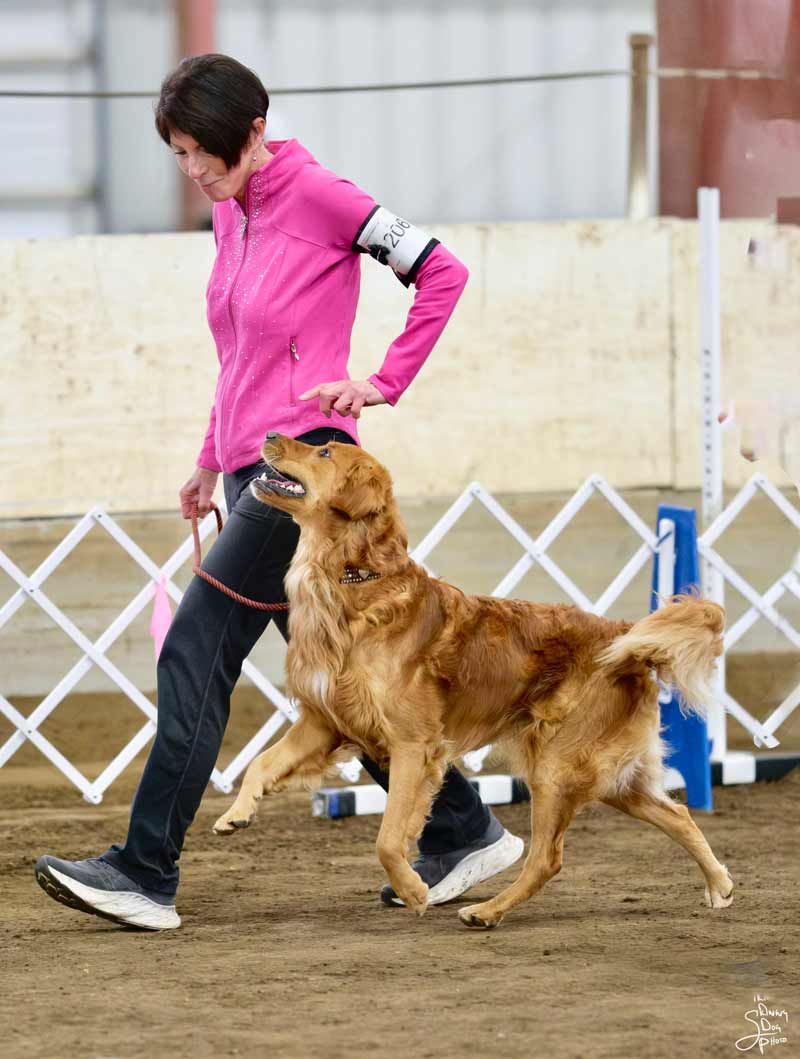 Finger Follow (New & Expanded) - TNT Training Center